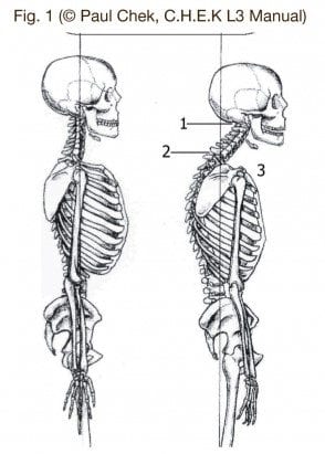 How to Unlock the Power of Good Posture: The Hidden Benefits